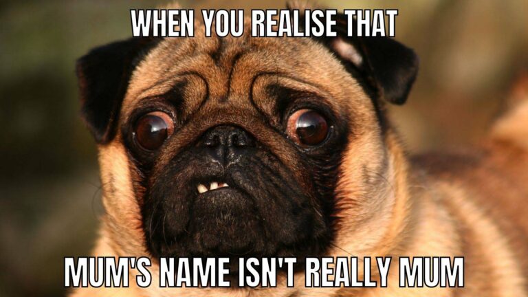 14 Sad Dog Memes: A Collection Of The Saddest Dogs On The Internet