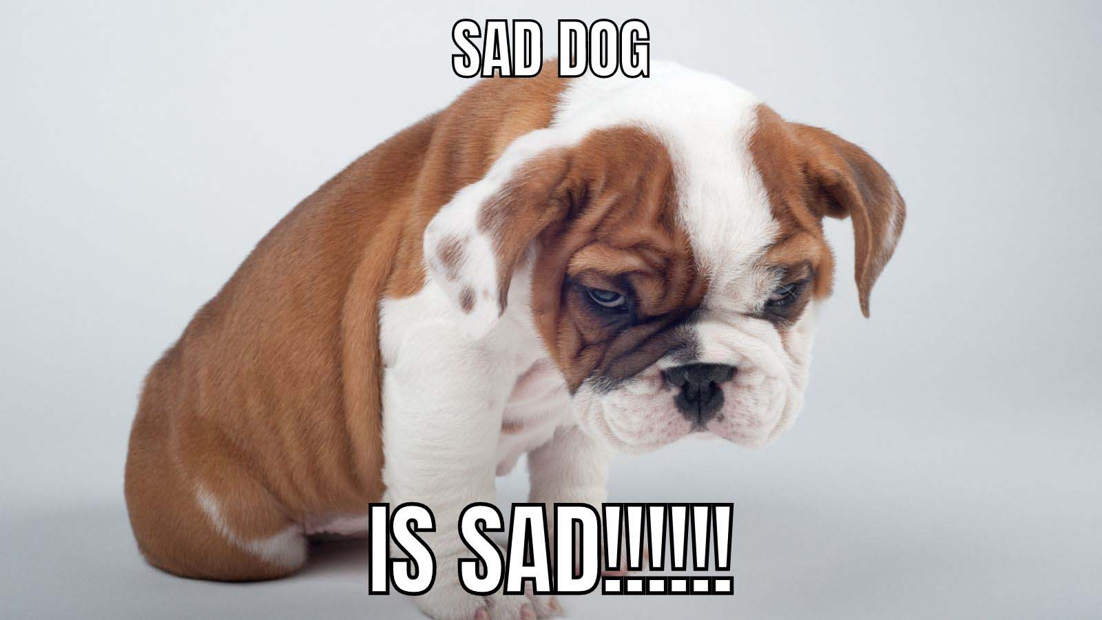 Super Sad Meme Super Sad Meme